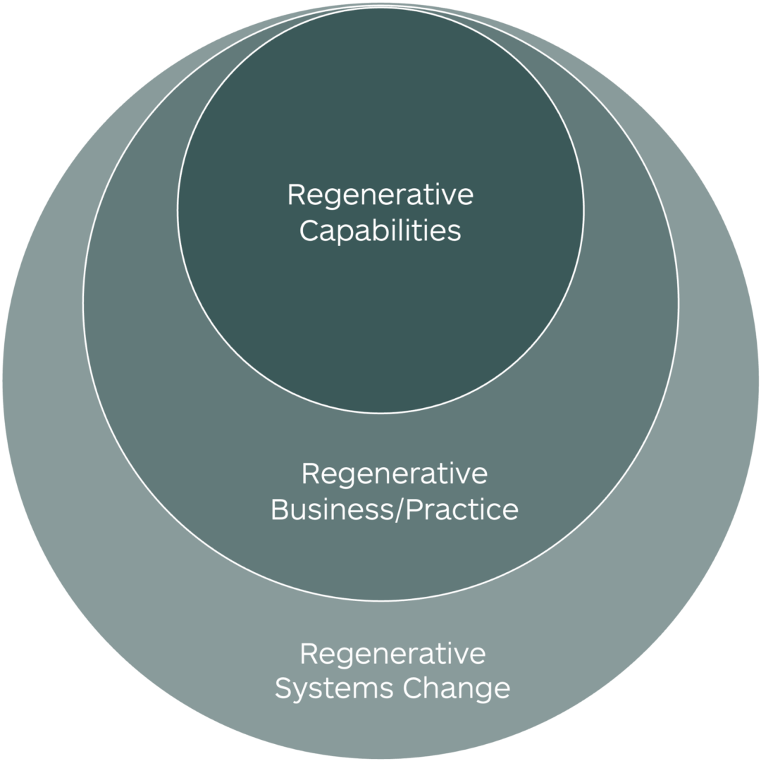 The Regenesis School Course Catalogue – The Regenesis Institute for ...