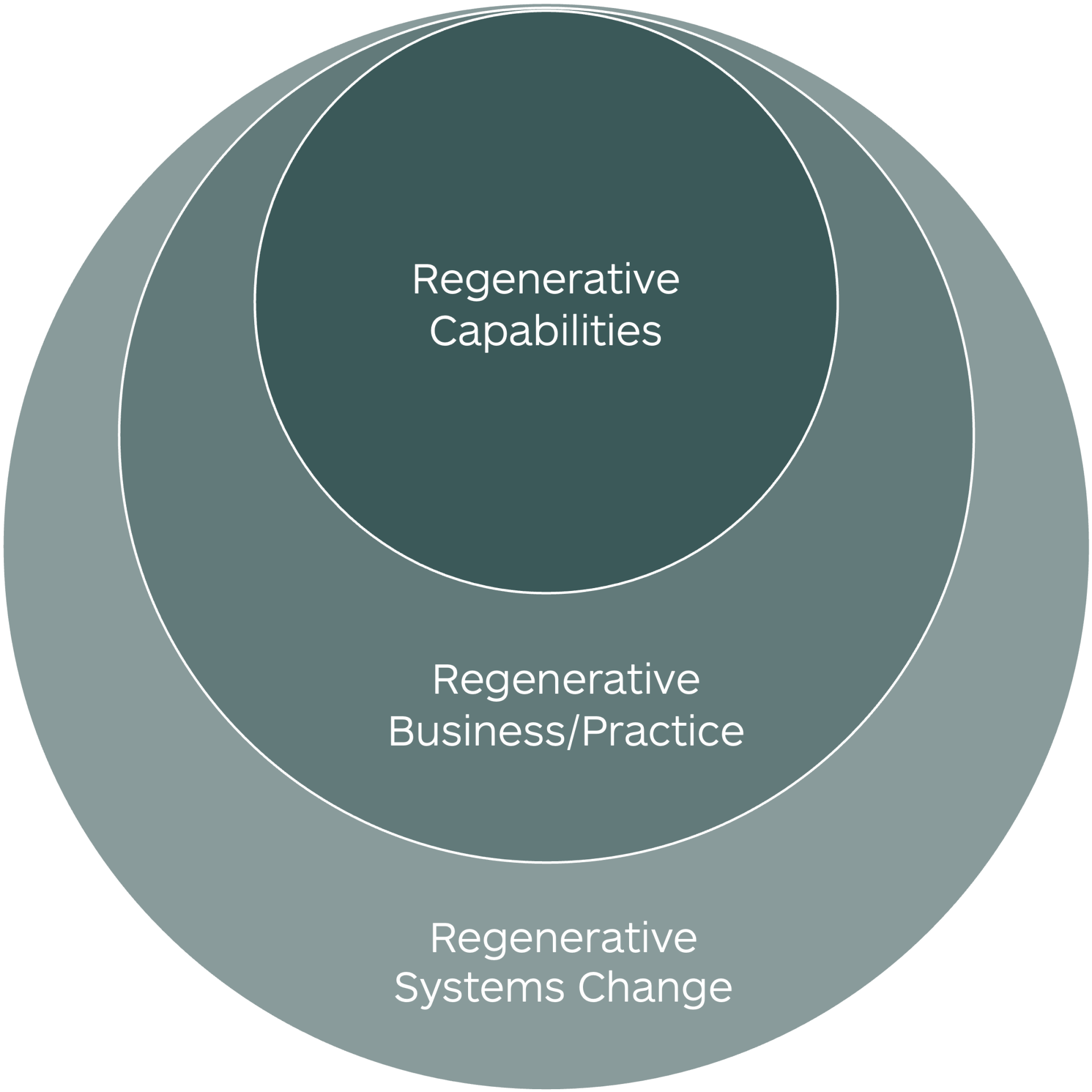 The Regenesis School Course Catalogue – The Regenesis Institute for ...